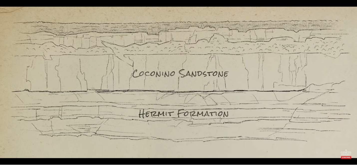 Creation Series – The Fossil Record – Questions in Theology